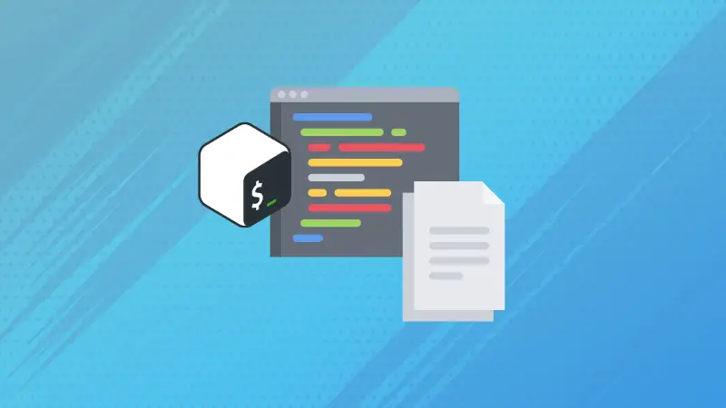 Special Variables in Bash Shell [With Script Examples]